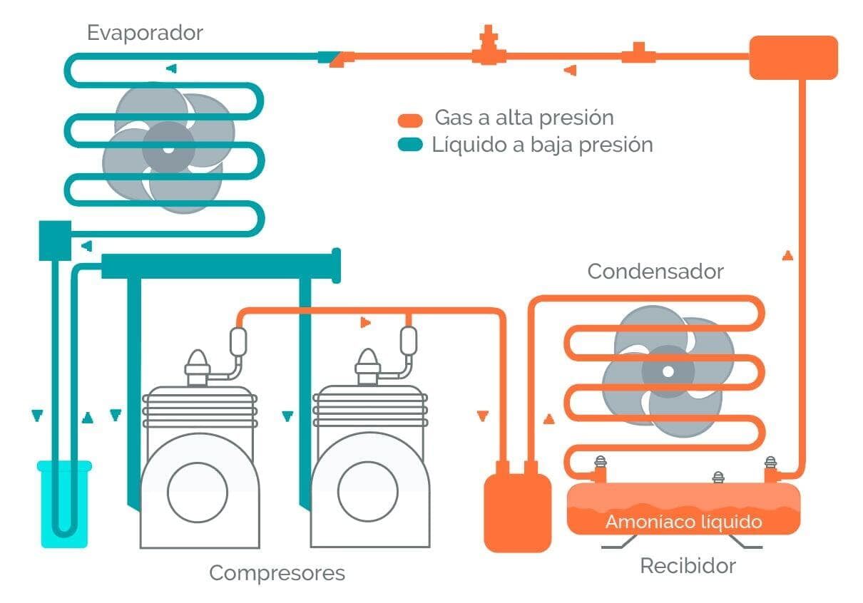 Consideraciones previas para realizar carga de amoníaco en instalaciones industriales: un caso ...